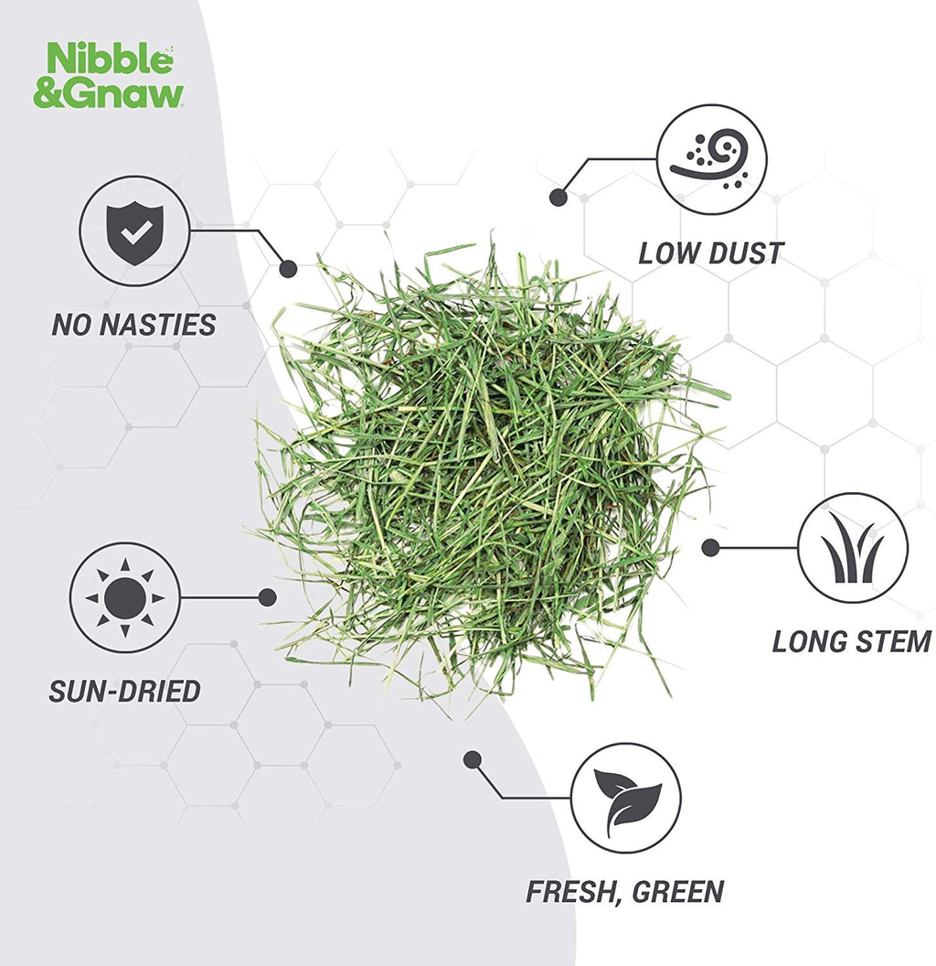 UntitledThe Complete Guide to Rabbit Stool: What Healthy Droppings Sho ...