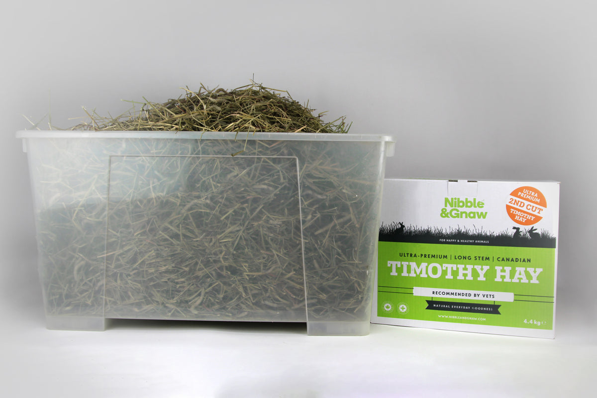 Second Cut Timothy Hay | Ultra Premium Hay for Rabbits & Guinea Pigs ...